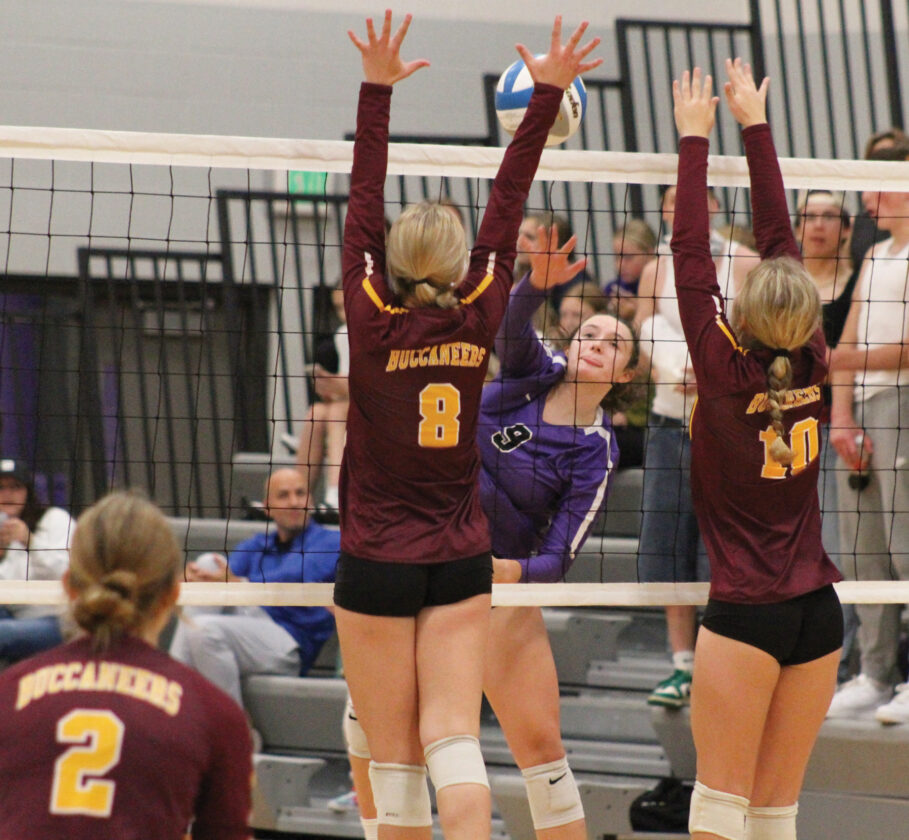 Area roundup: Eagles sweep Bucs, Tigers knock off Indians | News ...